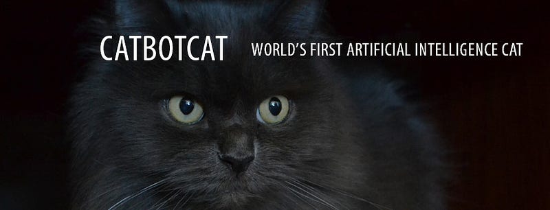 We Built a Cat Bot, Here’s What Happened – Chatbots Magazine