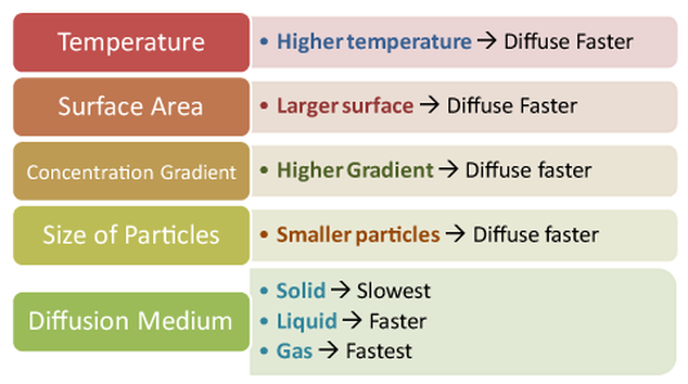 Osmosis and Surface Area/Volume Relationships – linzel – Medium