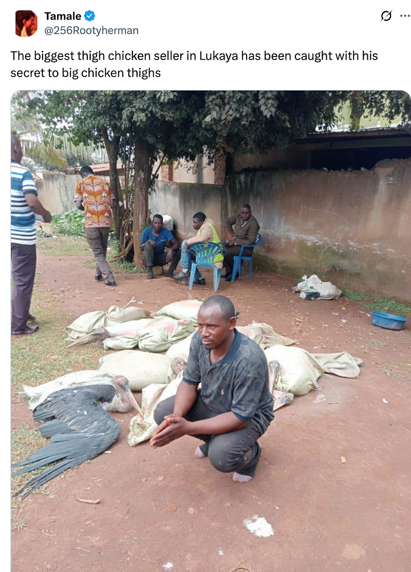 FALSE: This photo is not of a Ugandan chicken seller caught with ...
