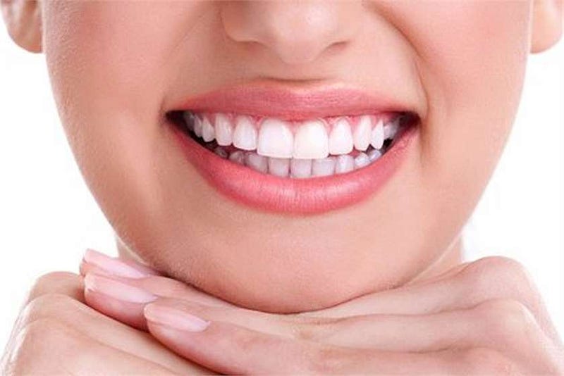 How Many Teeth Do Humans Have How Many Teeth Do Humans Have
