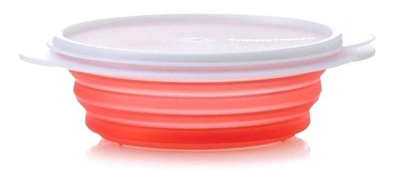 All About the Tupperware | Science & Policy Exchange