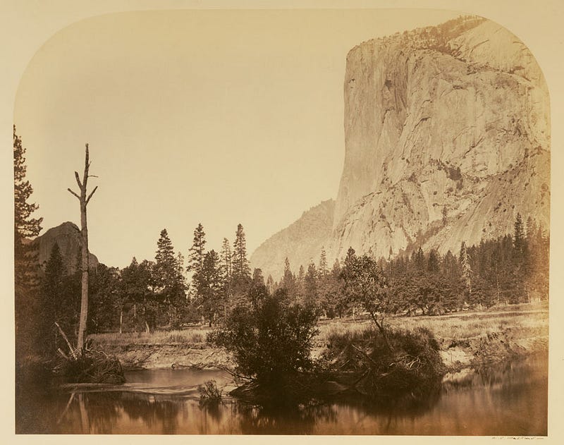 11 incredible wilderness photographs from the 1800's