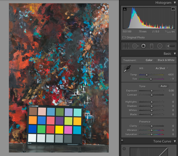 The Art of Copy Work: Photographing Artwork Accurately Without Glare