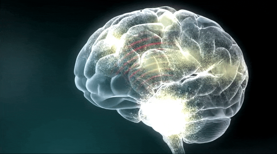 What is the real treasure within?What is Conscious & Subconscious Mind?