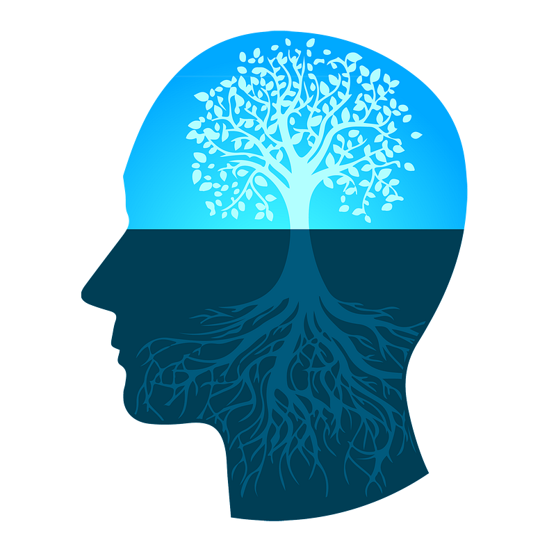 Mindset : The New Psychology Of Success – Bookreviews.co