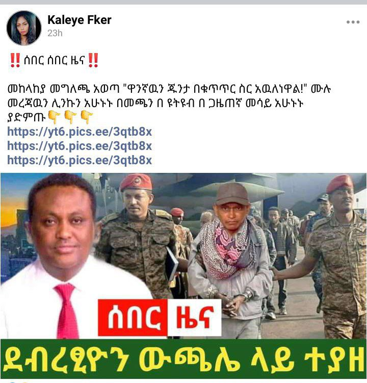 ALTERED: This picture does not show TPLF leader Debretsion Gebremichael ...