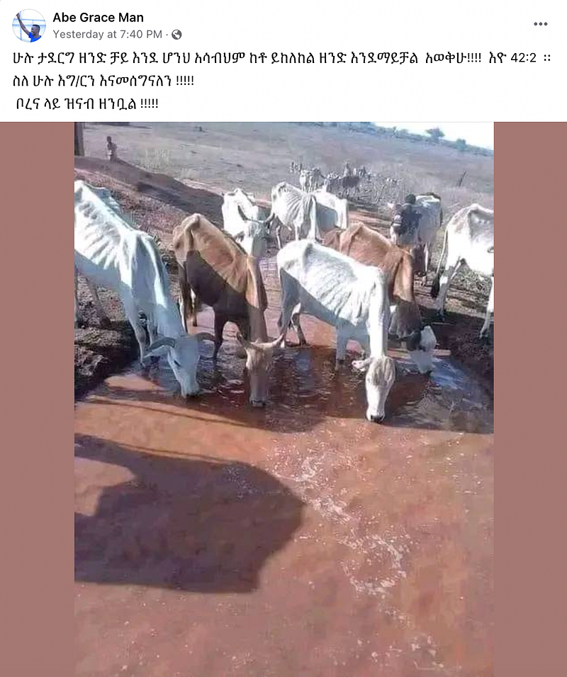 FALSE: This photo isn’t of a puddle in Ethiopia’s drought-hit Borana ...