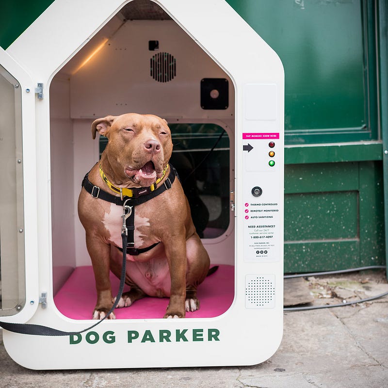 Meredith Zinner Photoshoot! – Dog Parker – Medium