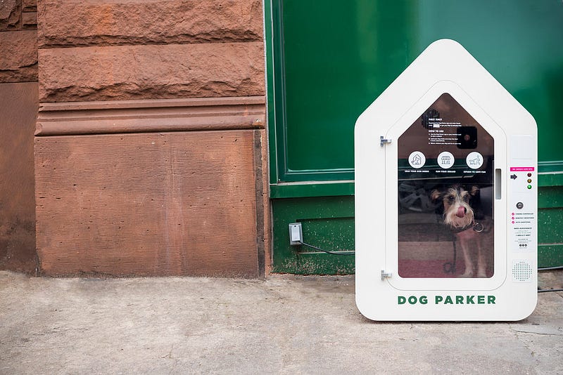 Meredith Zinner Photoshoot! – Dog Parker – Medium