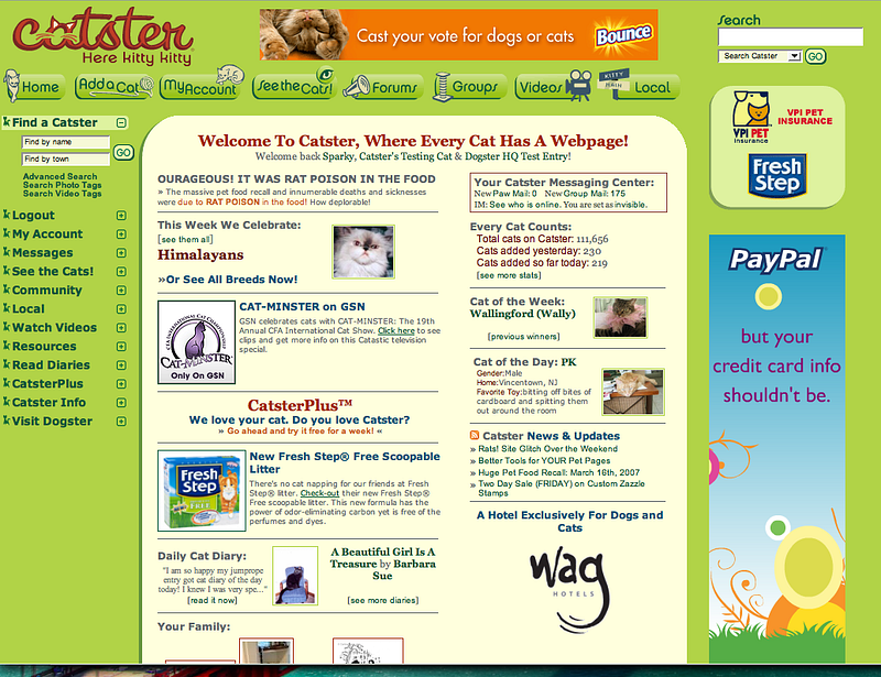 Catster.com: the Best Online Community Ever – Season of the Witch – Medium