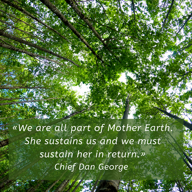 20 Inspiring Indigenous Quotes That Remind Us To Protect Mother Earth ...