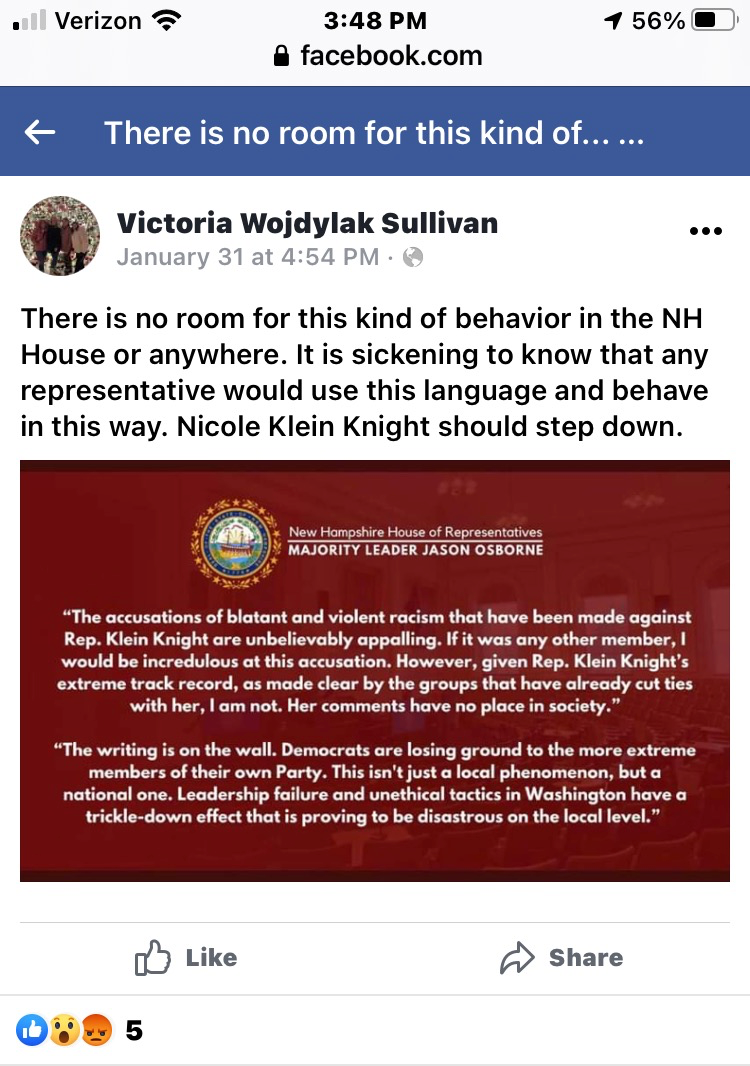 Victoria Sullivan is a Hypocrite for Criticizing Democrat for Racial ...