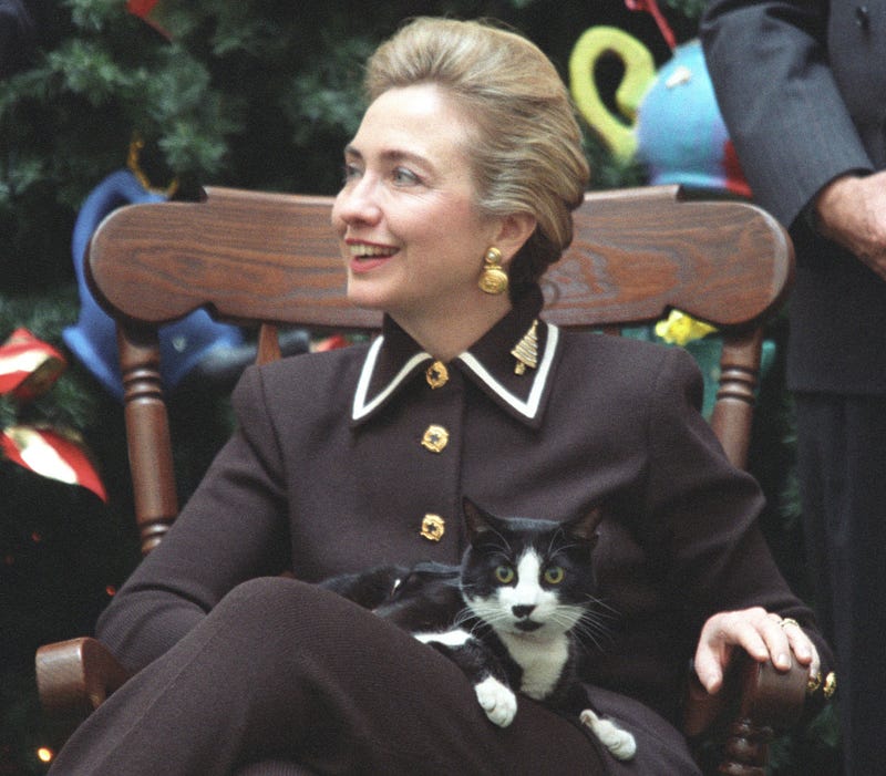 Cats, politics, and digital diplomacy – Digital Diplomacy – Medium