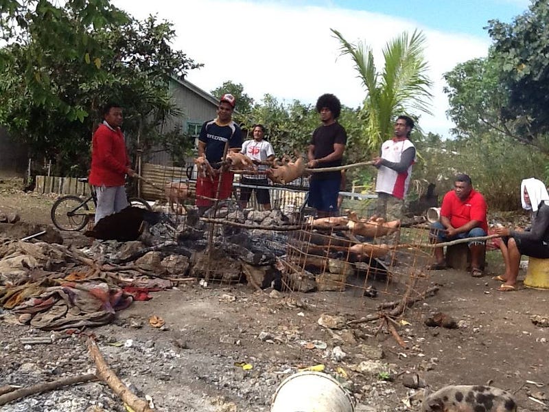 Puakas – Life in Vava’u – Medium