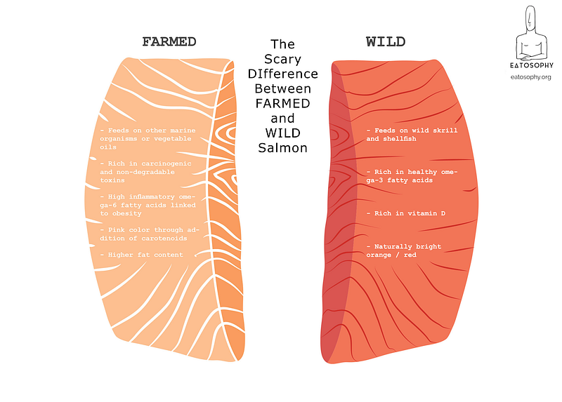 Farmed Vs Wild Salmon – Restaurant Wholesomeness – Medium