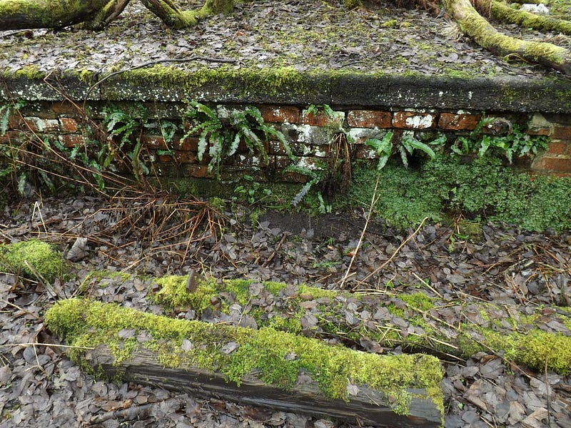 Greenock Princess Pier Line – Lewis Wotherspoon – Medium