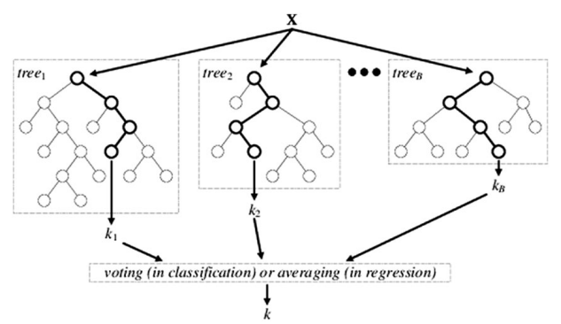 Overview of Decision Trees, Neural Networks | by Manoj Kumar H S | Medium