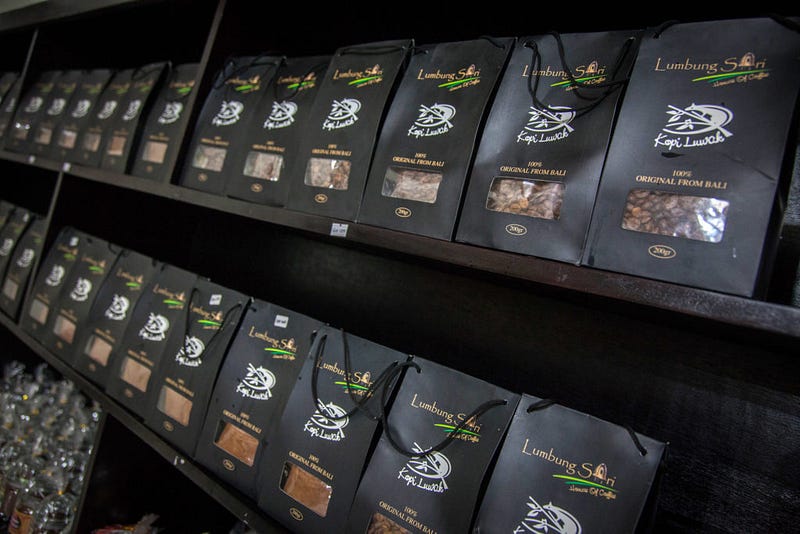 Kopi Luwak: The Good and the Bad of Civet Poop Coffee
