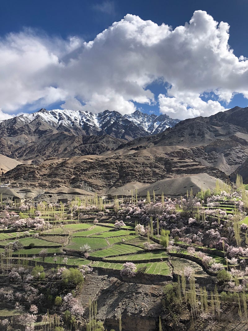 Are Man-Made Glaciers the Answer to the Himalayas’ Melting Ice?