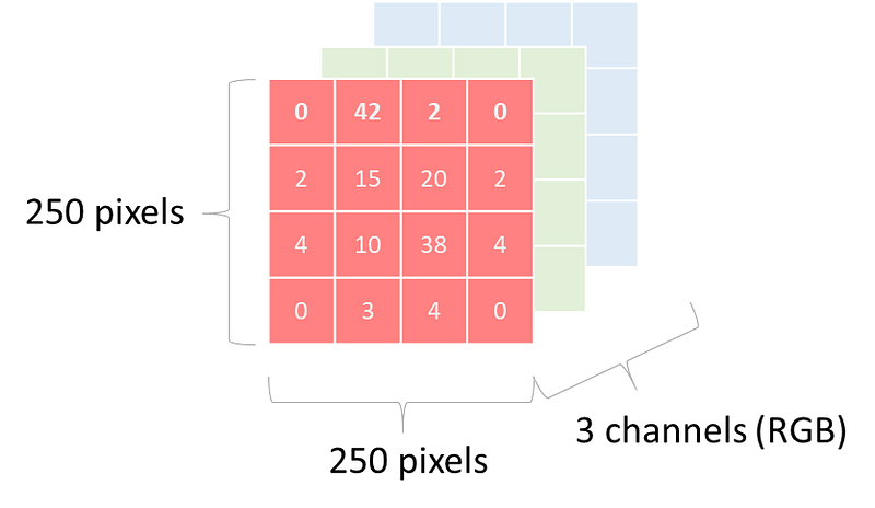 Image Classification for beginner - Yannawut Kimnaruk | Tealfeed