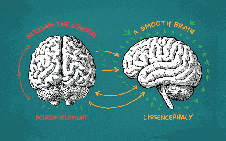 Brainanalyse on Tumblr