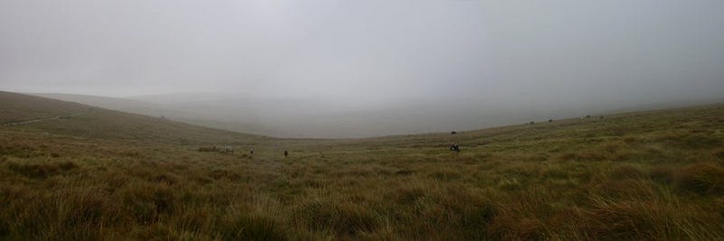 The Grimpen Mire – The Grimpen Mire – Medium