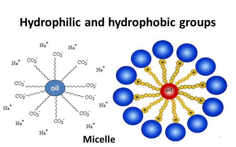 Role of Water Layer on Hydrophobic and Hydrophilic Self-Assembled ...