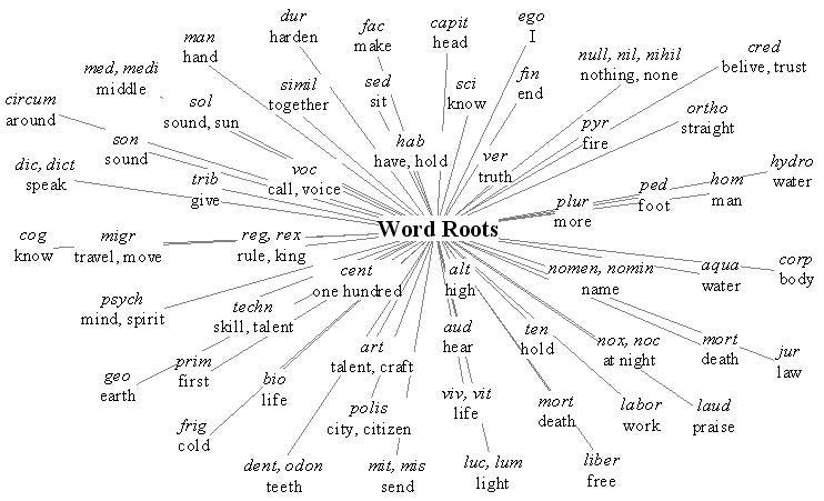 Tổng hợp các Từ Gốc (Word Root) tiếng Anh, giúp học siêu nhanh 😍 cho ...