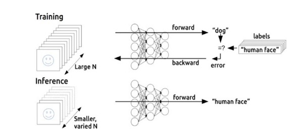 Overview of Decision Trees, Neural Networks | by Manoj Kumar H S | Medium