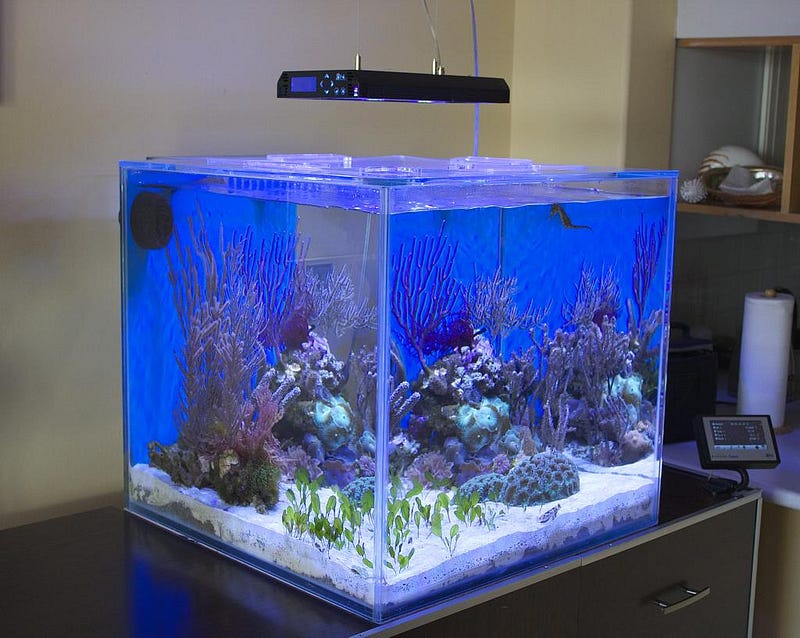jual akuarium akrilik murah Hub Aditya 089619395080