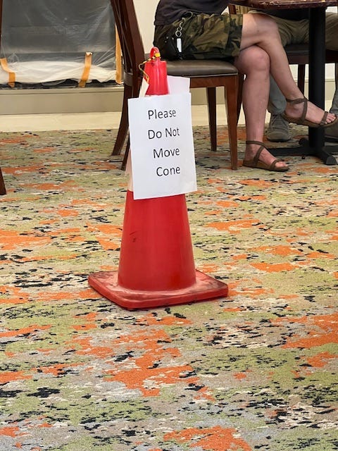 DO NOT REMOVE THE CONE! - FRANK LAZARUS AUTHOR