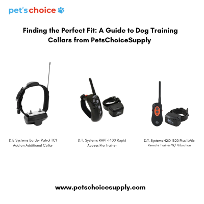 Finding the Perfect Fit: A Guide to Dog Training Collars from ...