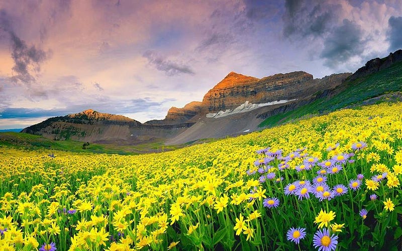 Los 10 paisajes naturales más hermosos de Asia – Cafe del Viajero – Medium
