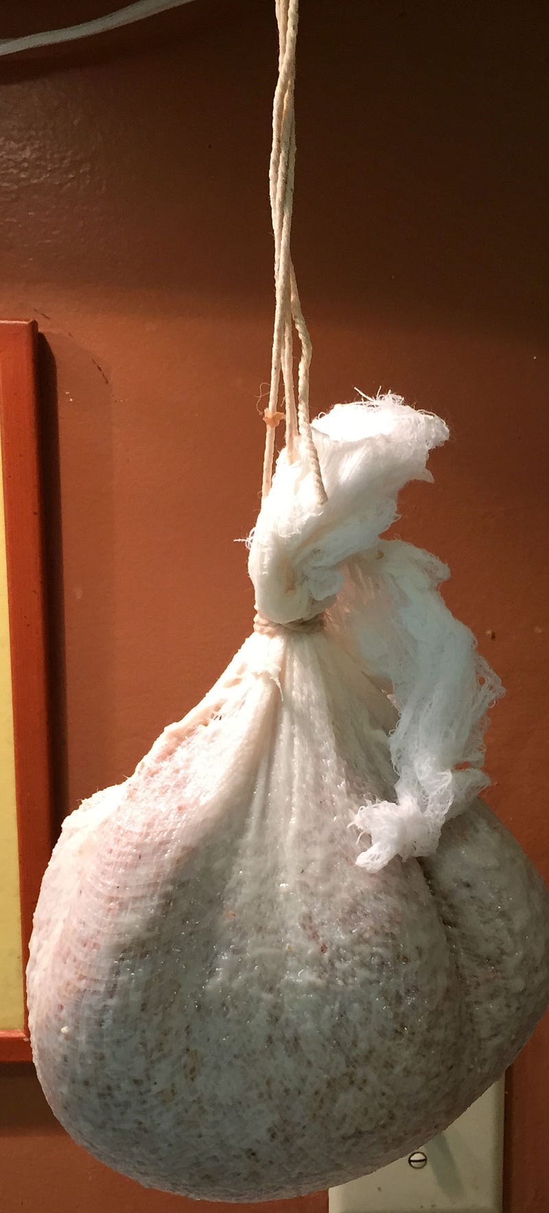 The Literal Magic of Fermentation – Invironment – Medium