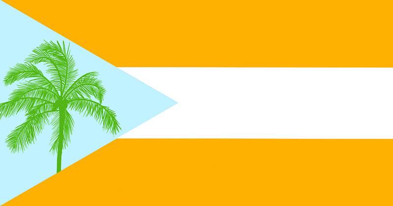 This is where we talk about redesigning the Flag of Miami