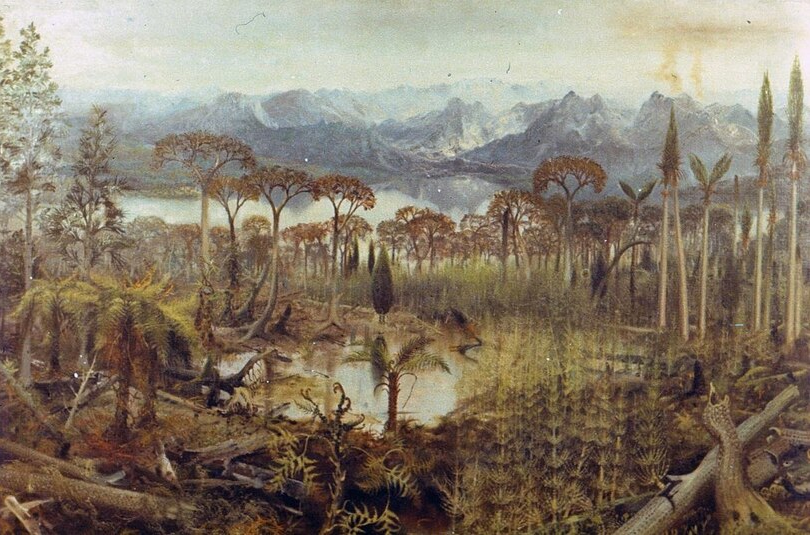 About 360 million years ago, a new, Carboniferous or Carboniferous ...