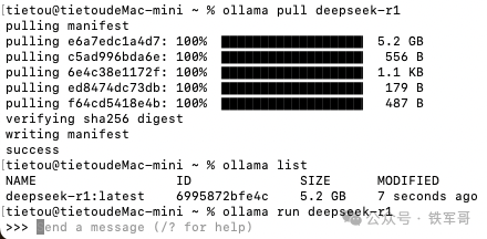 Mac mini M4运行DeepSeek-R1实测：两步搞定，效率惊人！ - 电脑前线