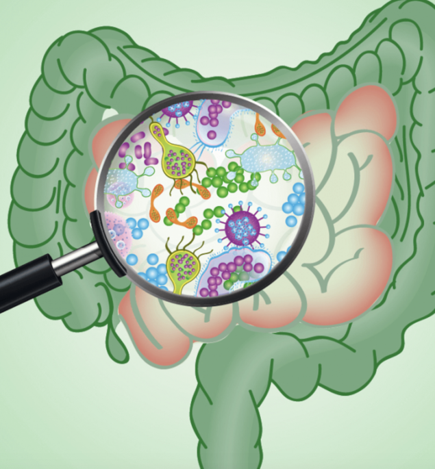 What Is Small Intestinal Bacterial Overgrowth (SIBO) - Nutrition With Judy