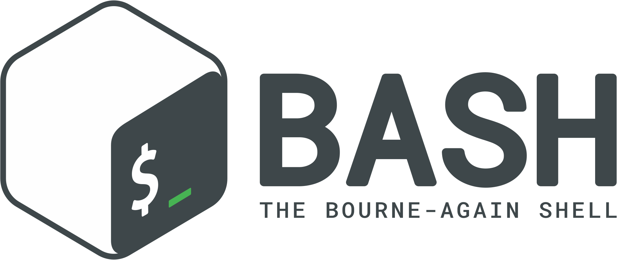 A Beginners Guide To Bash Scripting Using Simple Examples LaptrinhX