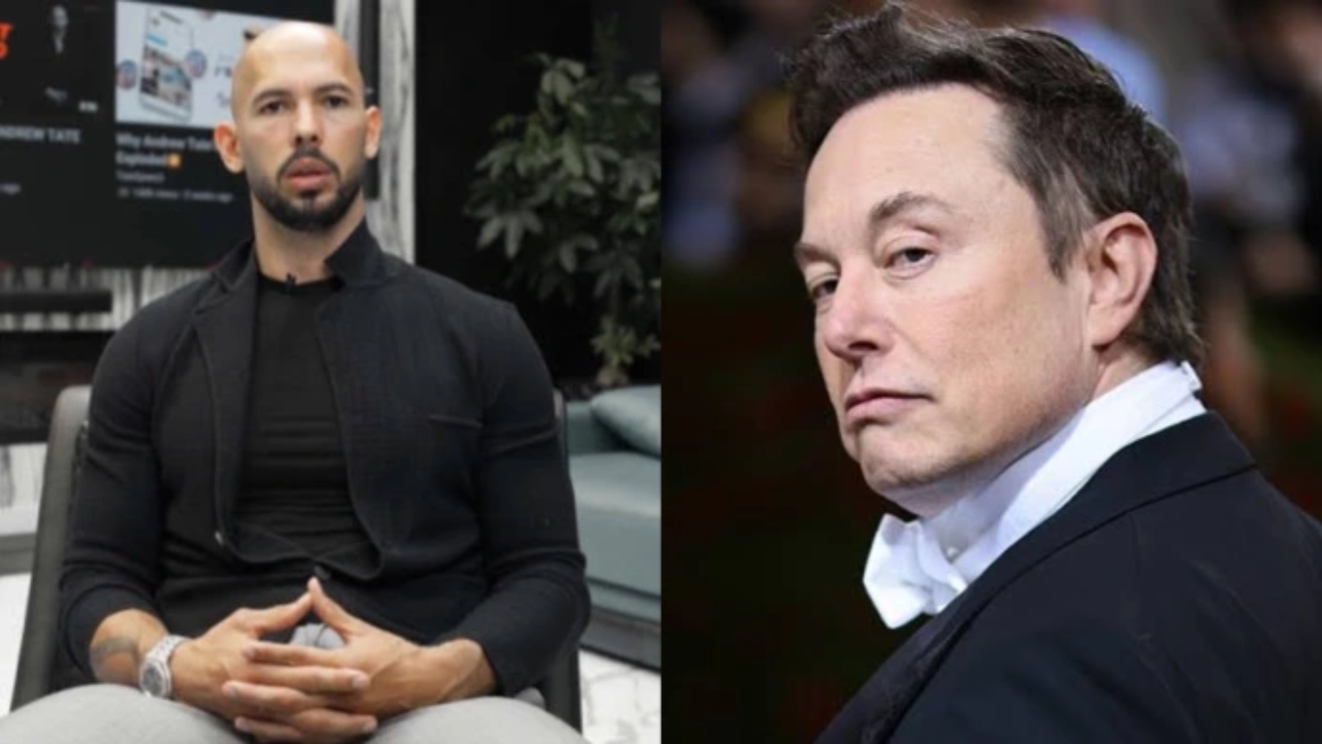 Tristan Tate: 2023 net worth of Andrew Tate's brother and former ...